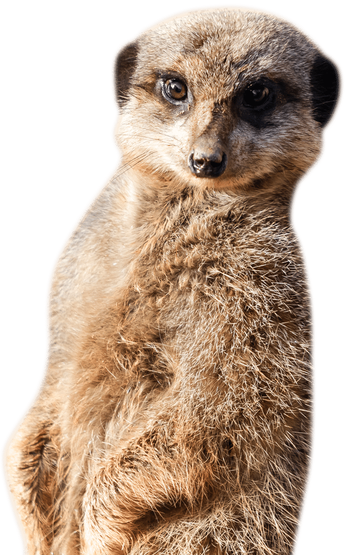 Paignton Zoo - A Wild Day Out For The Whole Family