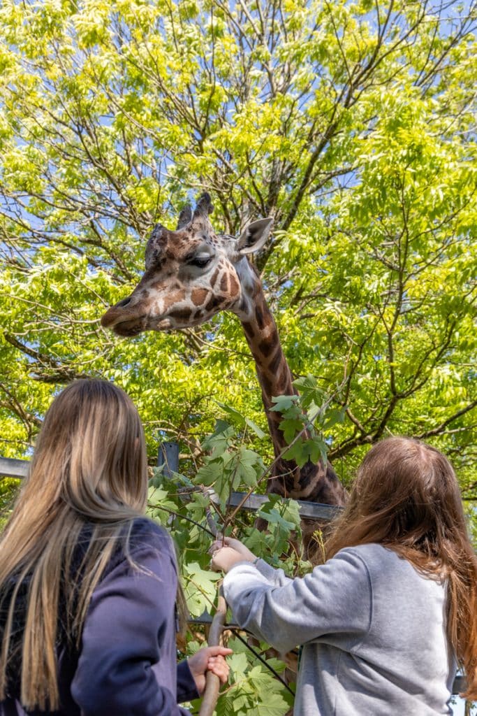 Animal Experiences • Paignton Zoo