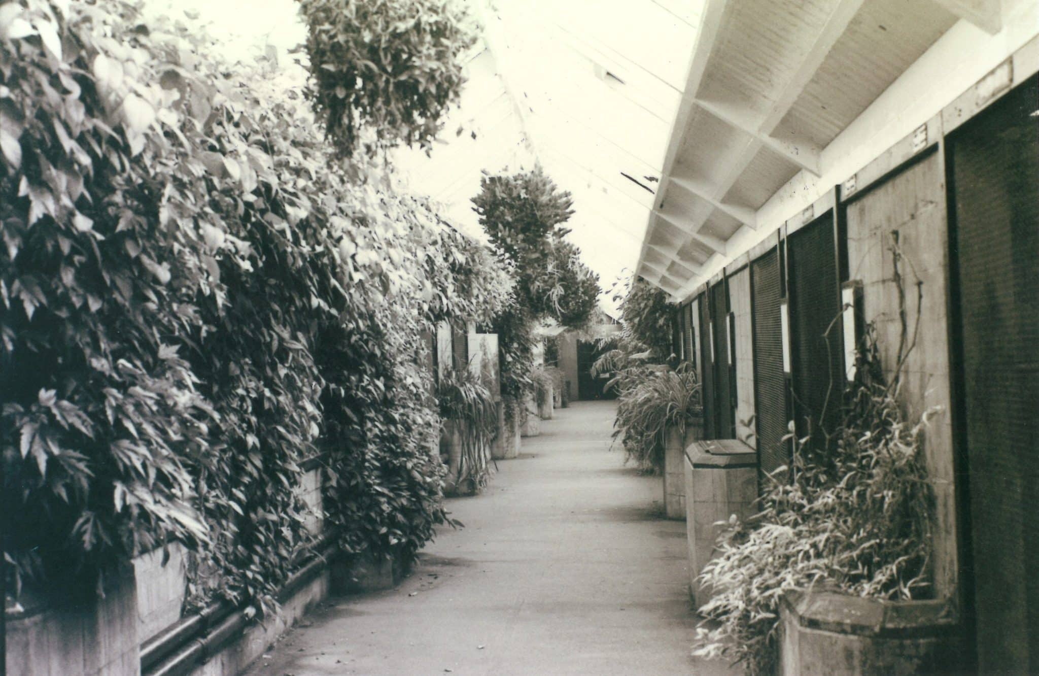 Our Story: The Early Years – What Are Zoos For? • Paignton Zoo