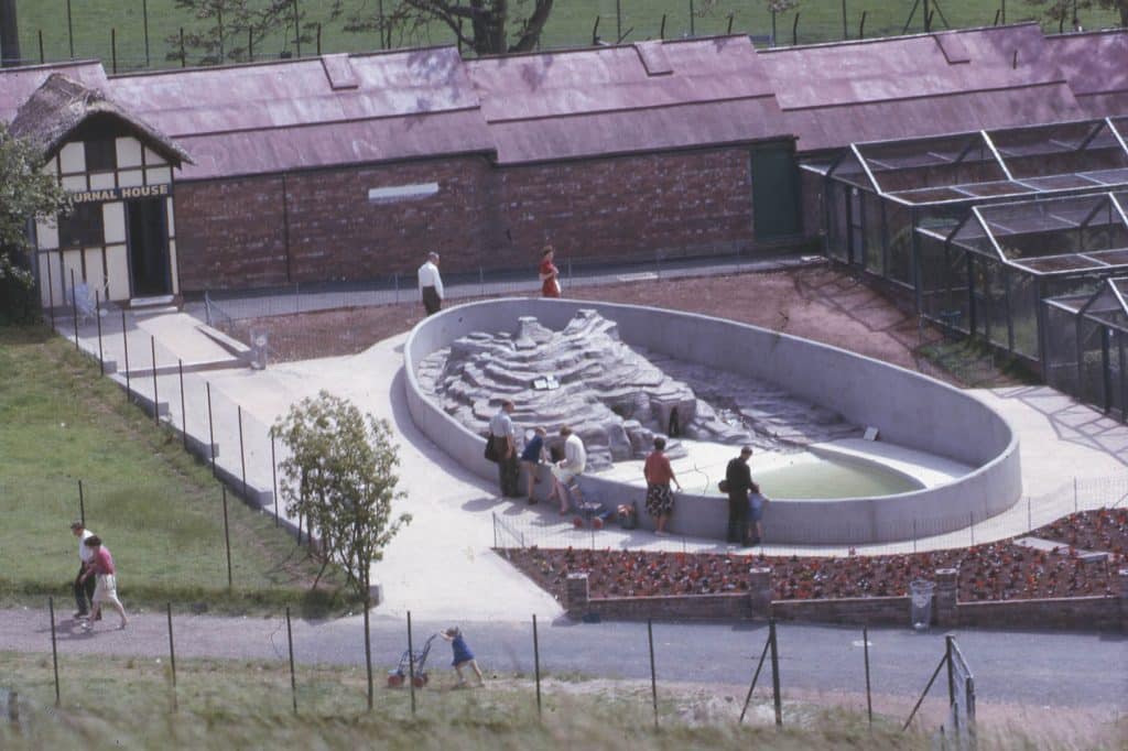 Zoo Memories Trail • Paignton Zoo