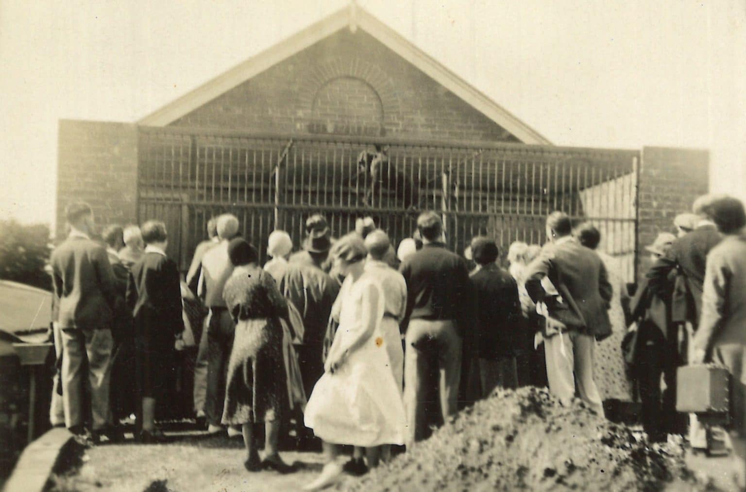 Zoo Memories Trail: Crocodile Swamp • Paignton Zoo