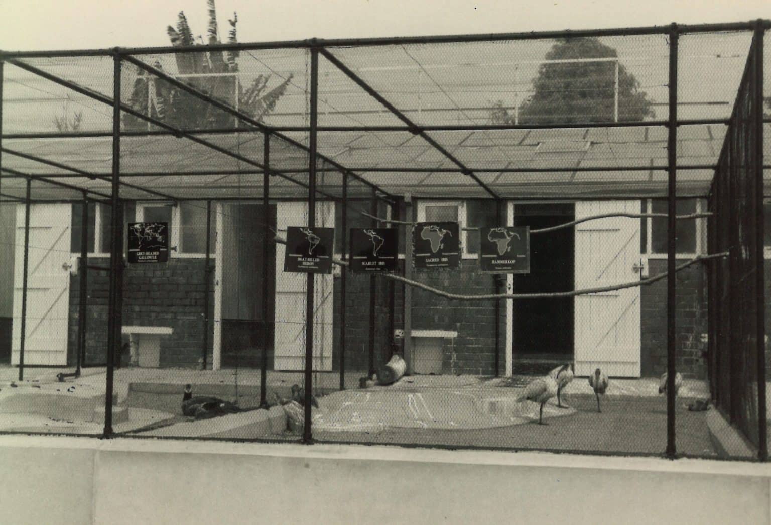 Zoo Memories Trail: Cottage Aviary • Paignton Zoo