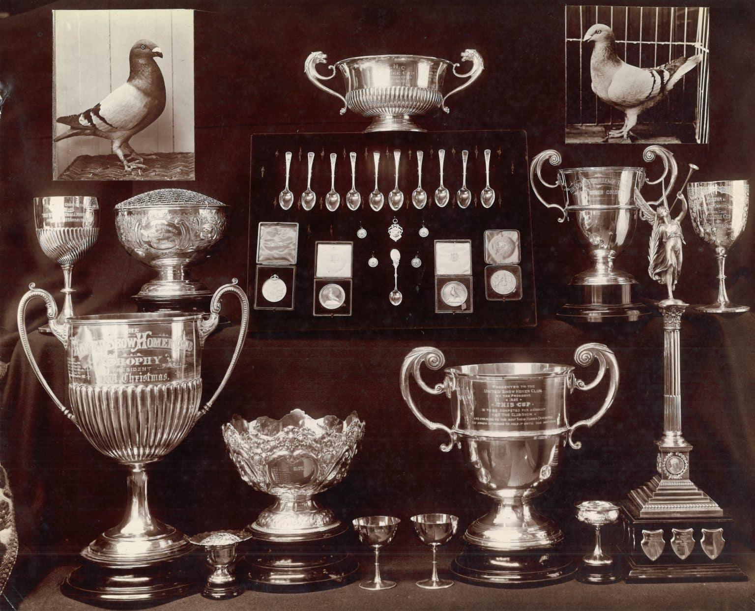 Leading The Way: Whitley's Animal Champions • Paignton Zoo