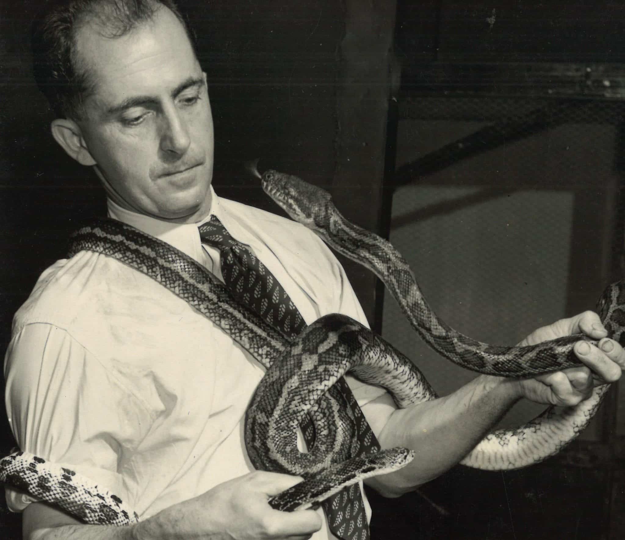 Ken Smith: The Unsung Hero Of Paignton Zoo • Paignton Zoo