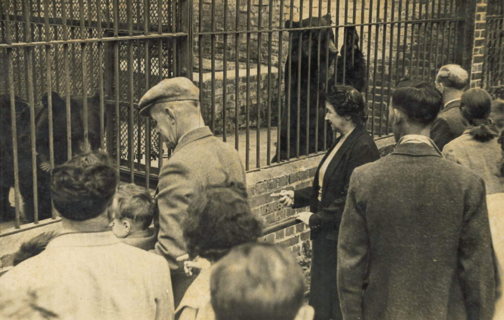 Your Zoo: One Of The Earliest Living Memories Of Paignton Zoo ...