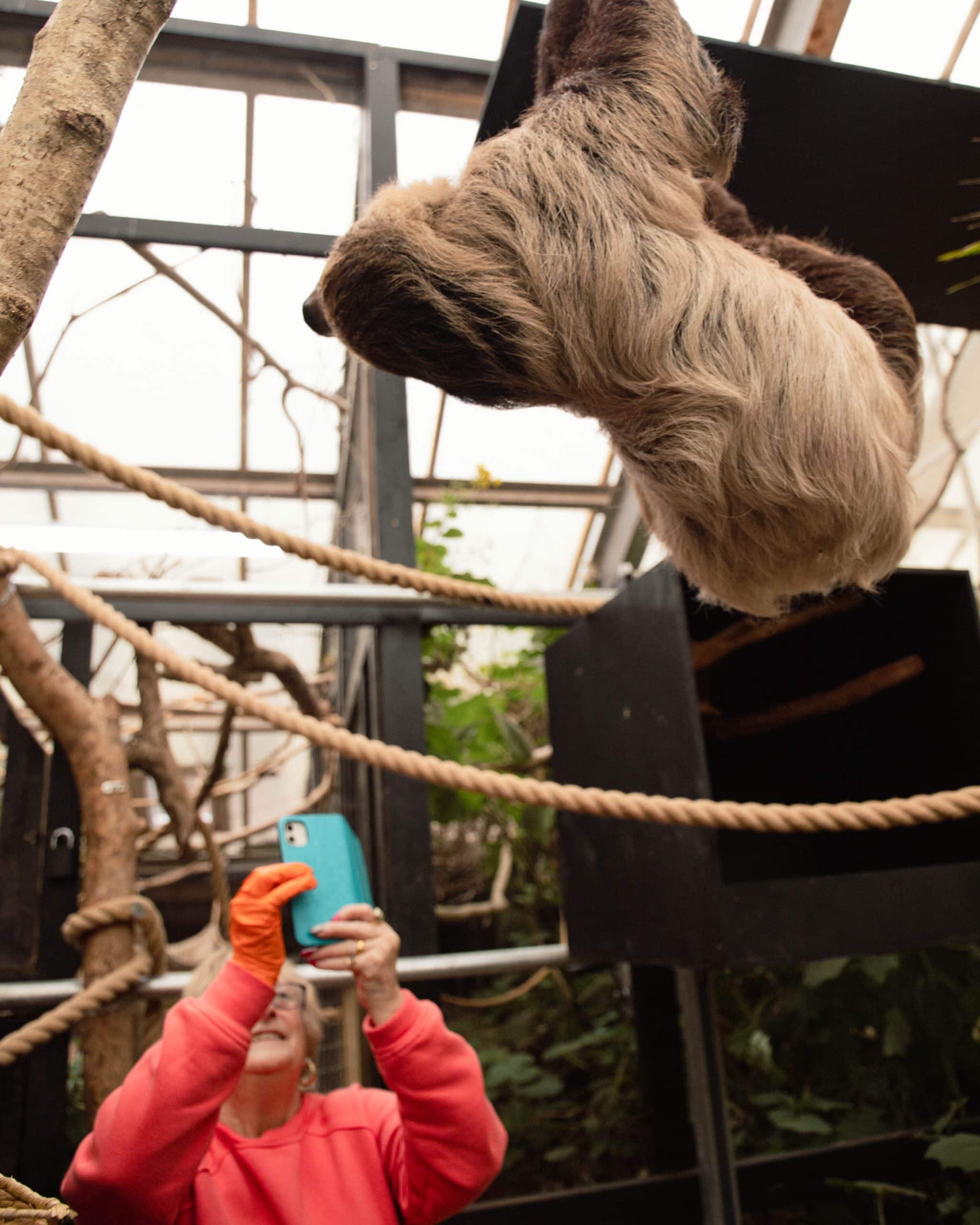 Animal Experiences • Paignton Zoo