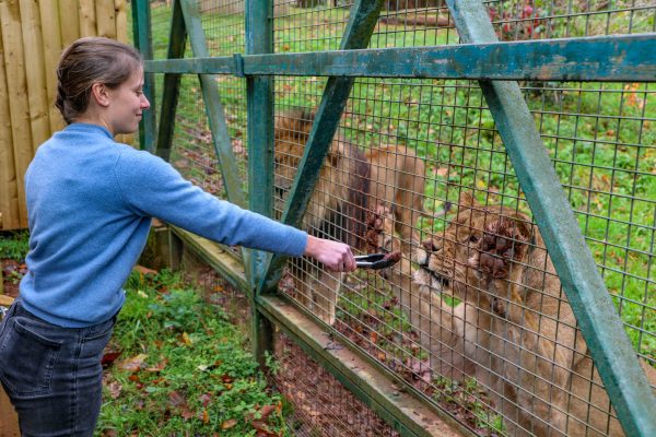 News • Paignton Zoo