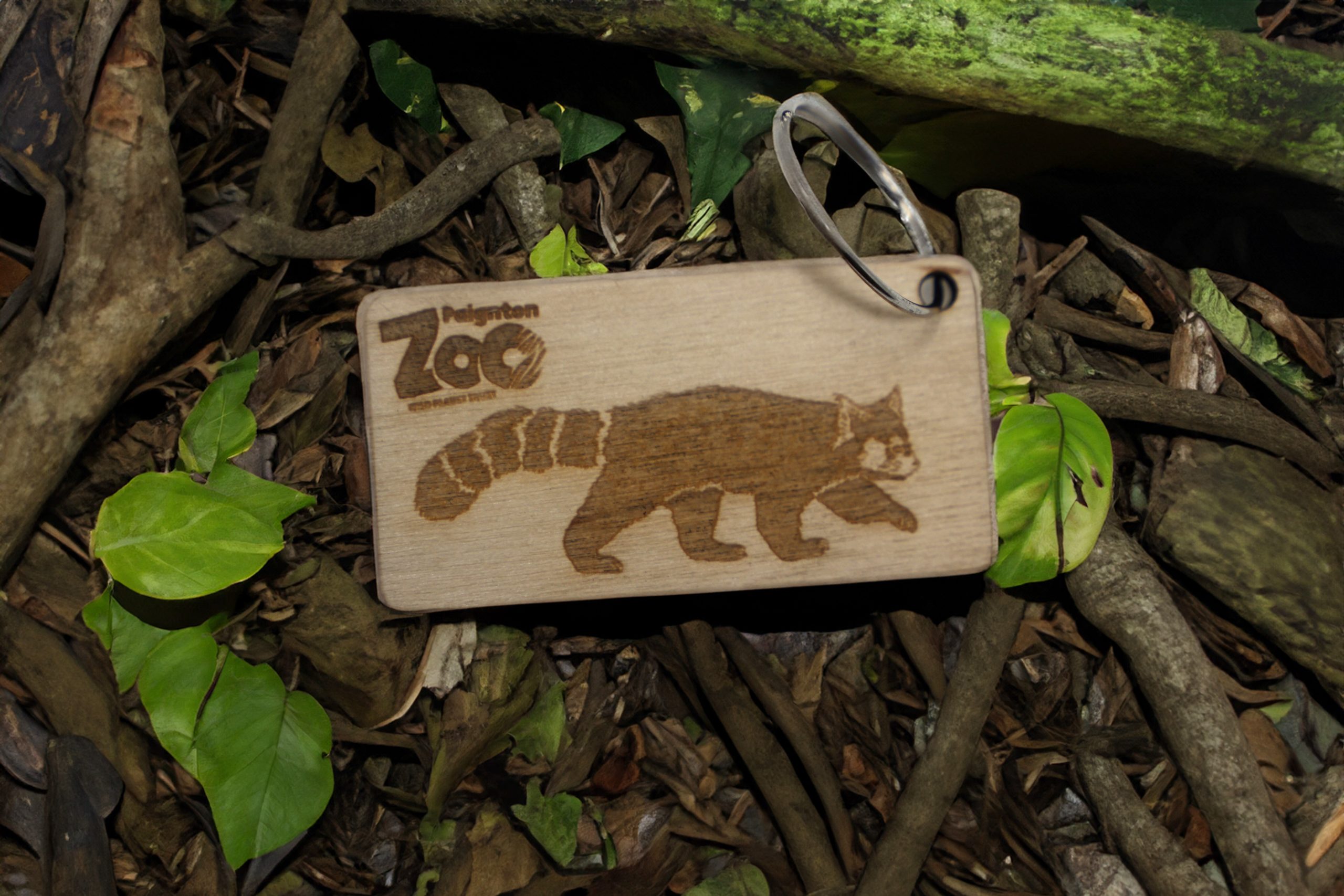 Red Panda Gold Adult Adoption Pack • Paignton Zoo