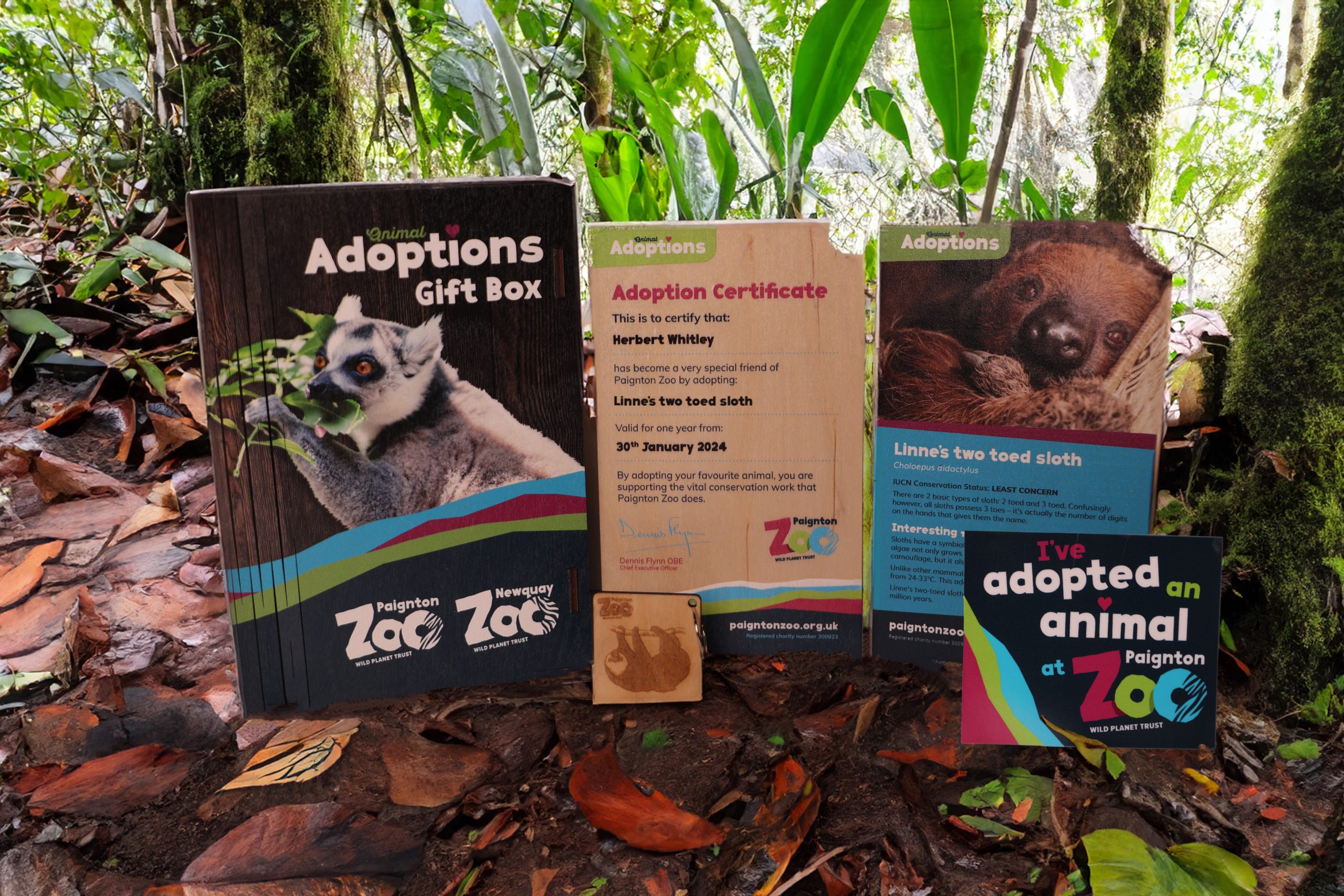 Sloth Silver Adult Adoption Pack • Paignton Zoo