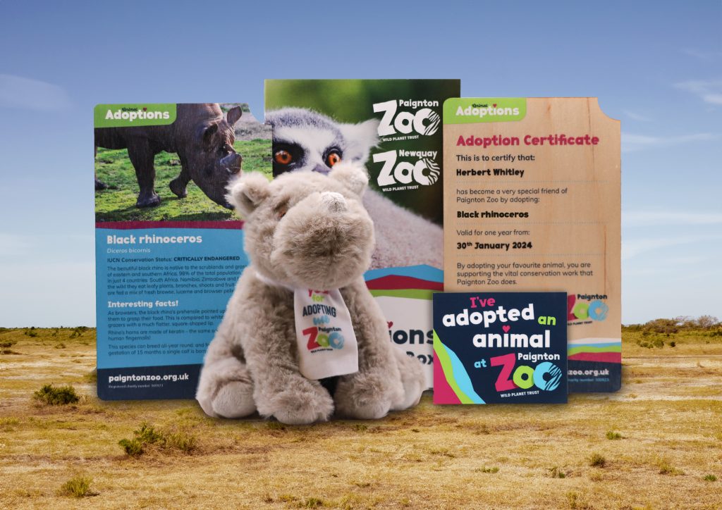Rhino Bronze Child Adoption Pack • Paignton Zoo