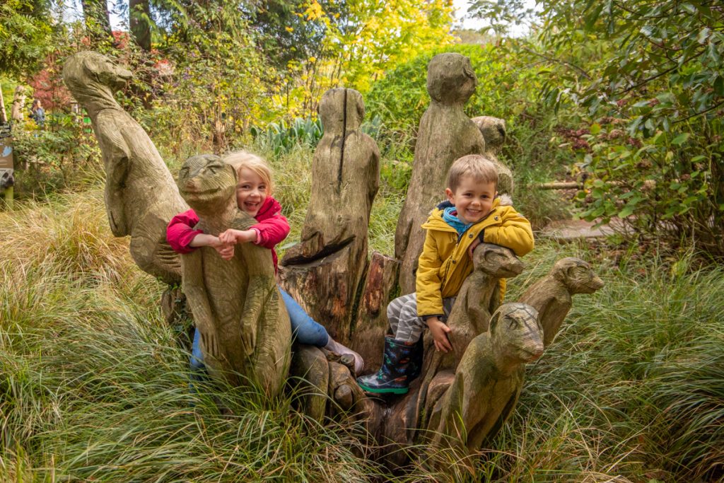 Kids Attractions & Play Areas • Paignton Zoo