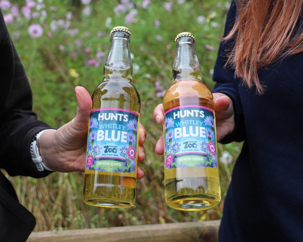 Paignton Zoo And Hunts Cider Launch Limited Edition ‘Whitley Blue ...