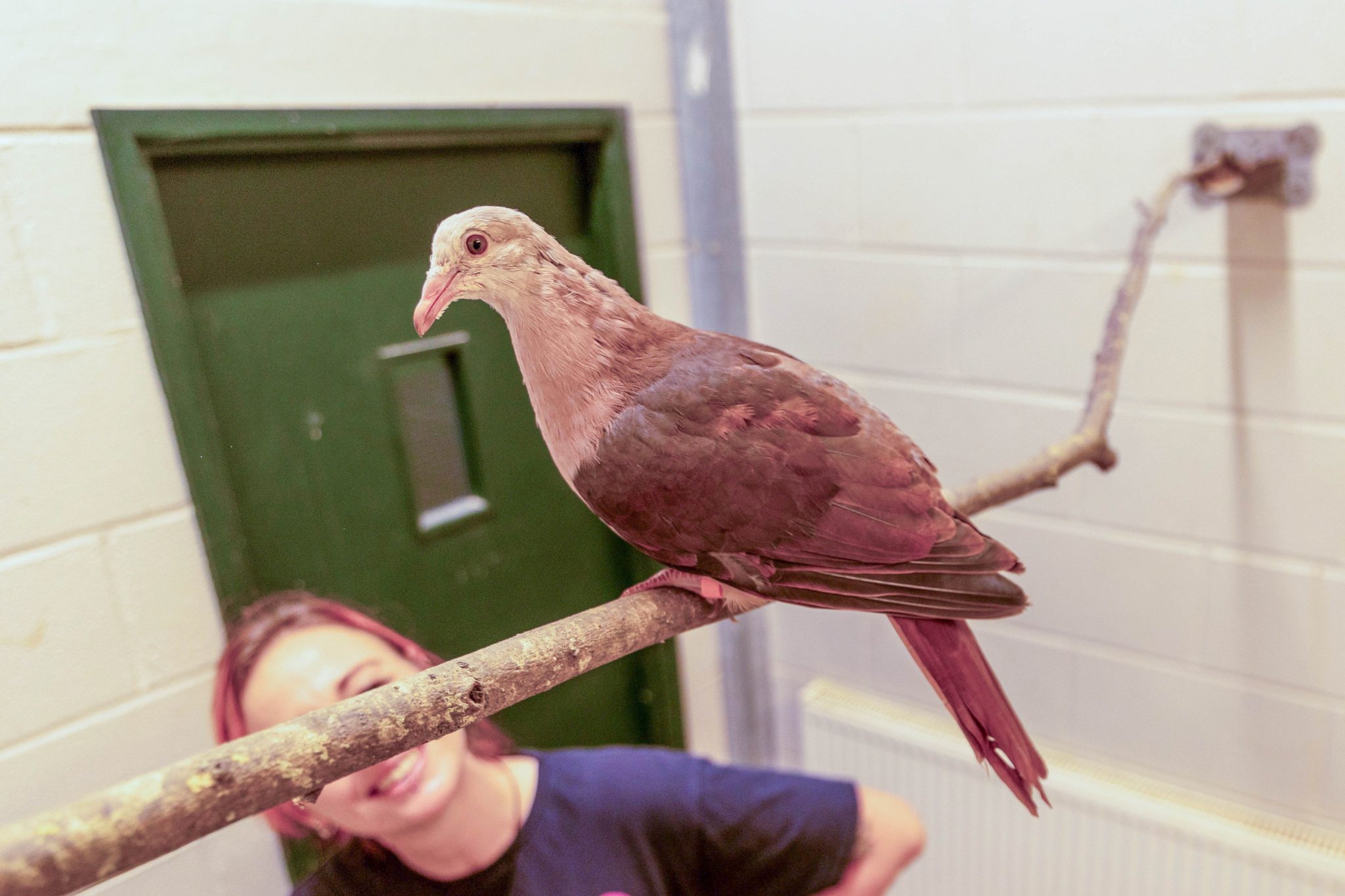 Latest Updates • Paignton Zoo